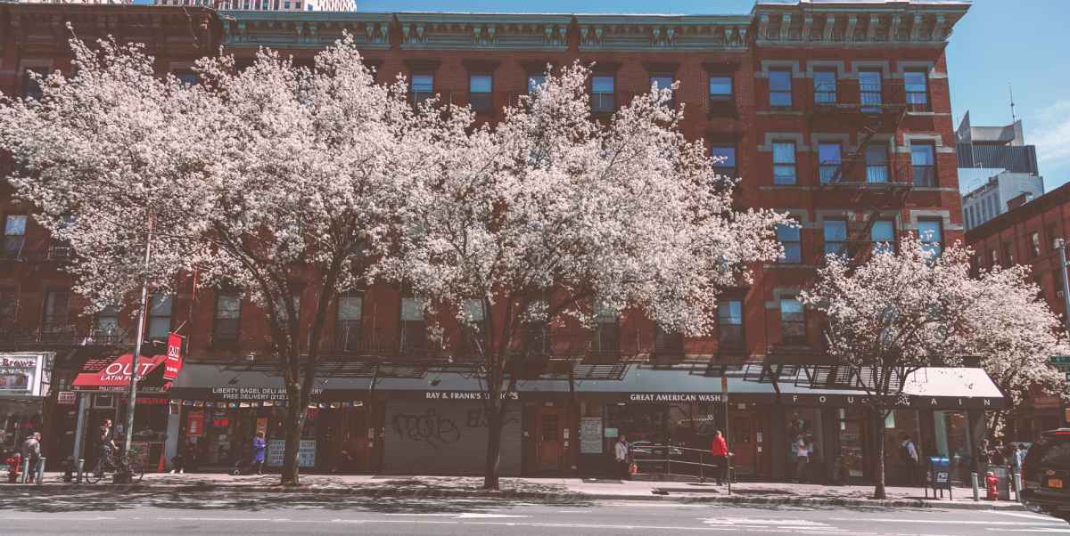 Book Review: Mapping Malcolm (Columbia Books on Architecture and the ...